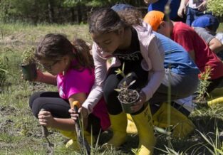 Programs for Teachers and Schools - Toronto and Region Conservation ...