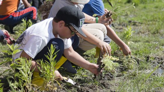 Programs for Teachers and Schools - Toronto and Region Conservation ...