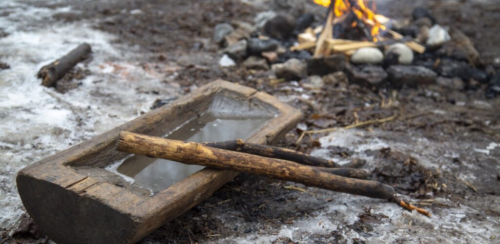 The Roots of Canadian Maple Syrup - Toronto and Region Conservation ...