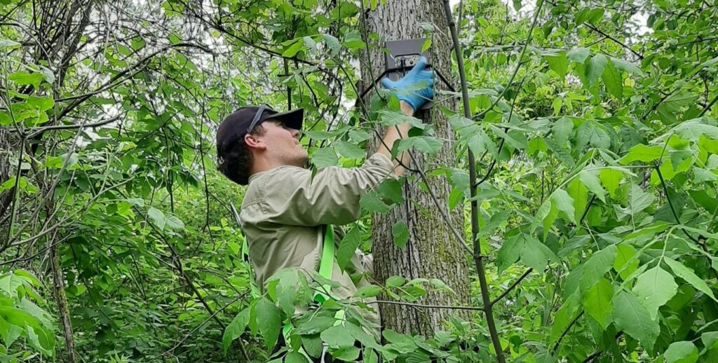 Monitoring Mysterious Mammals: Meet TRCA’s Bat Team - Toronto and ...