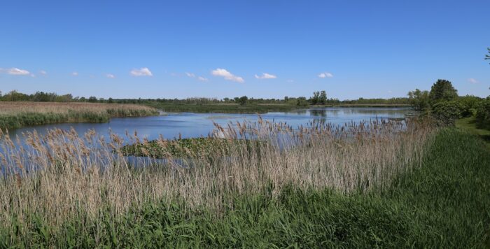 Baseline Coastal Habitat Survey for the Canadian Great Lakes - Toronto ...