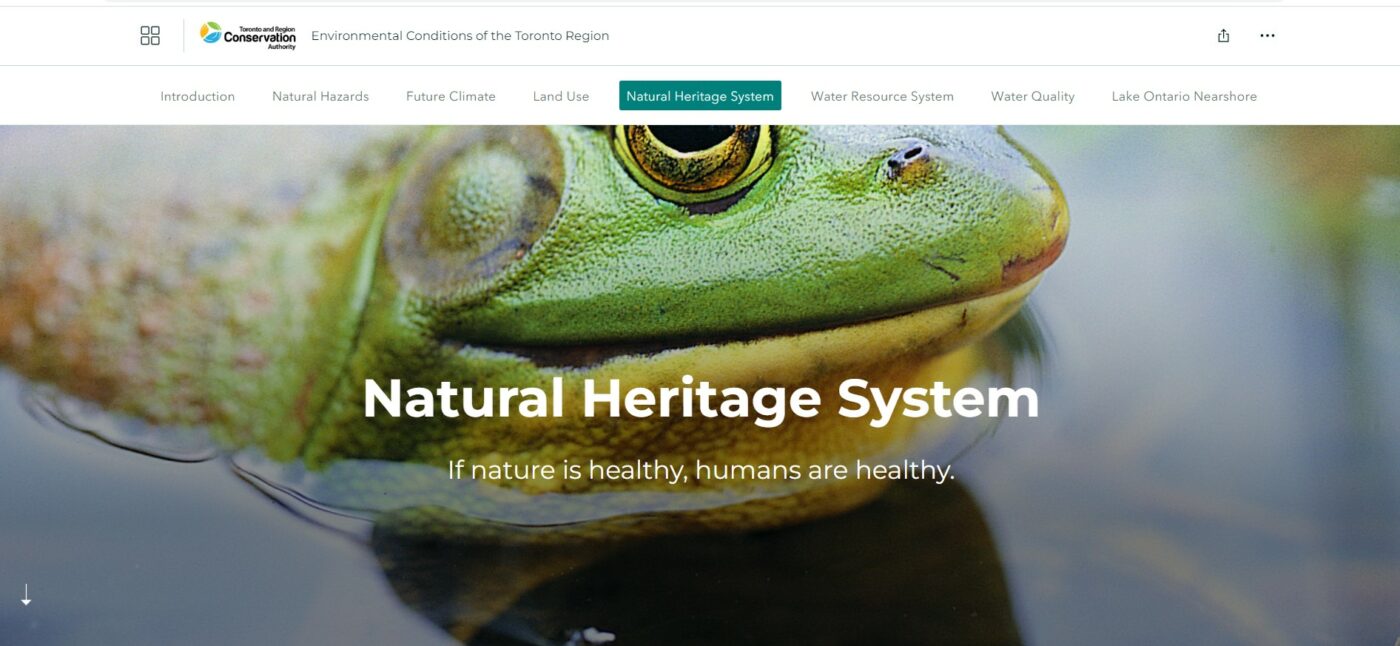 TRCA's Reporting Hub Gets an Upgrade - Toronto and Region Conservation Authority (TRCA)