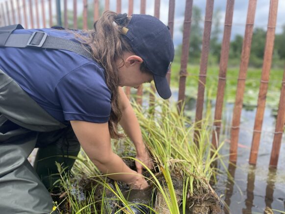 Ravine Youth Team - Toronto and Region Conservation Authority (TRCA)