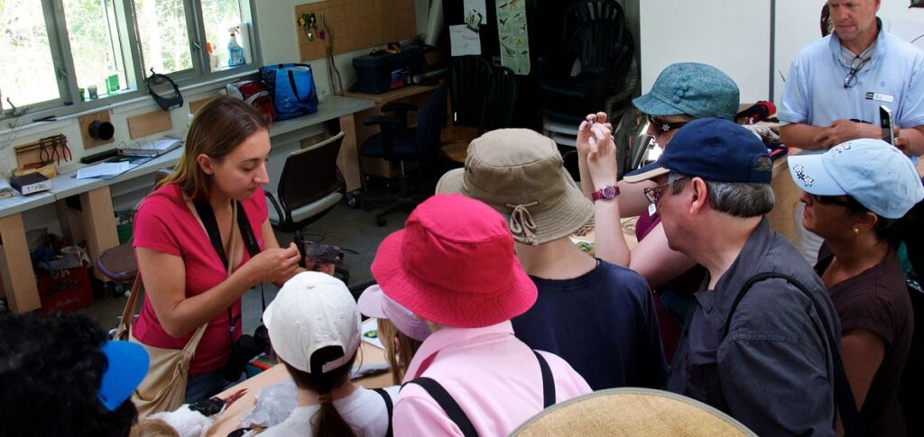 Seven Tips for Beginner Bird Watchers - Toronto and Region Conservation ...