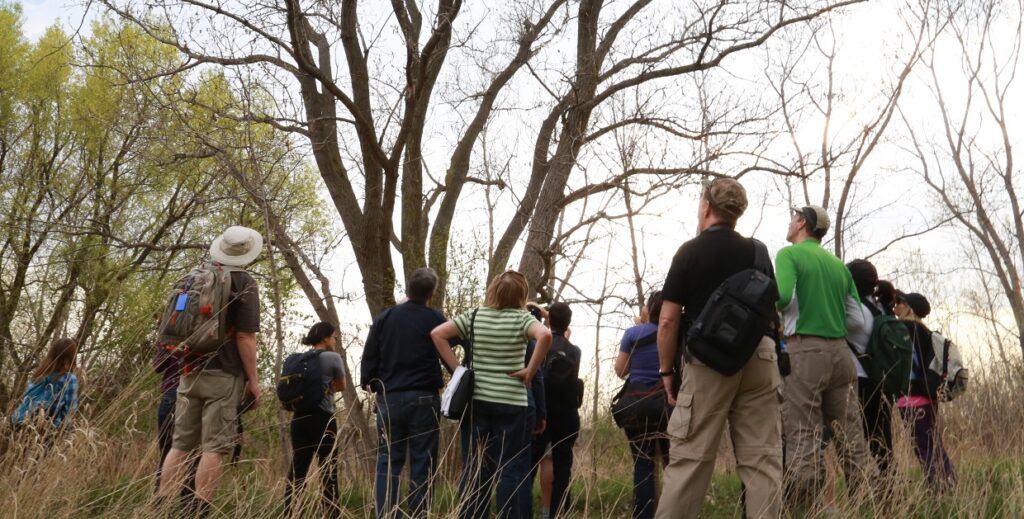 Seven Tips for Beginner Bird Watchers - Toronto and Region Conservation ...
