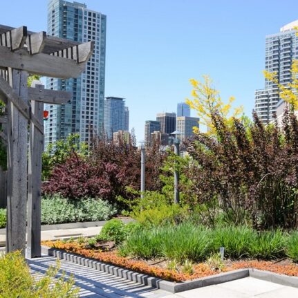 Green Infrastructure - Toronto and Region Conservation Authority (TRCA)