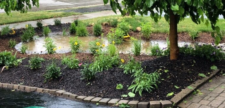 Green Infrastructure - Toronto and Region Conservation Authority (TRCA)