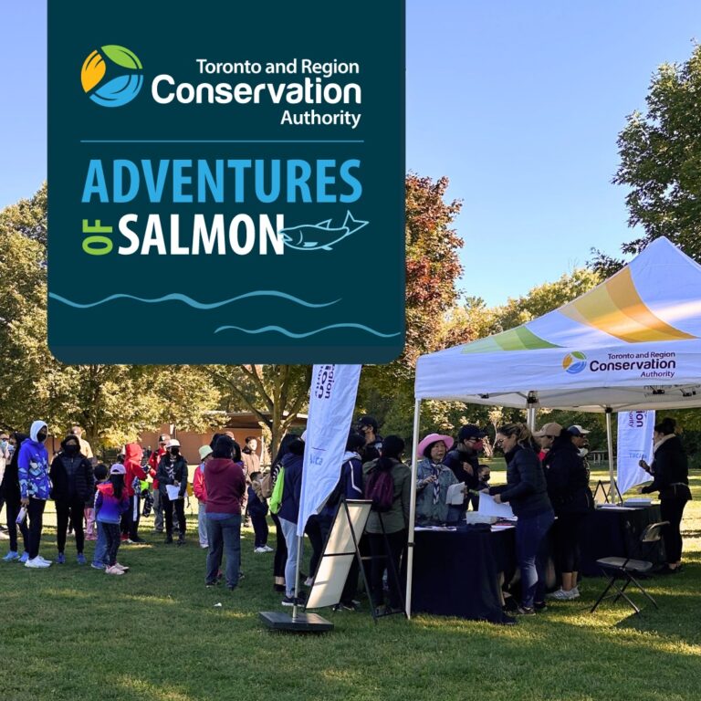 Toronto and Region Conservation Authority (TRCA)