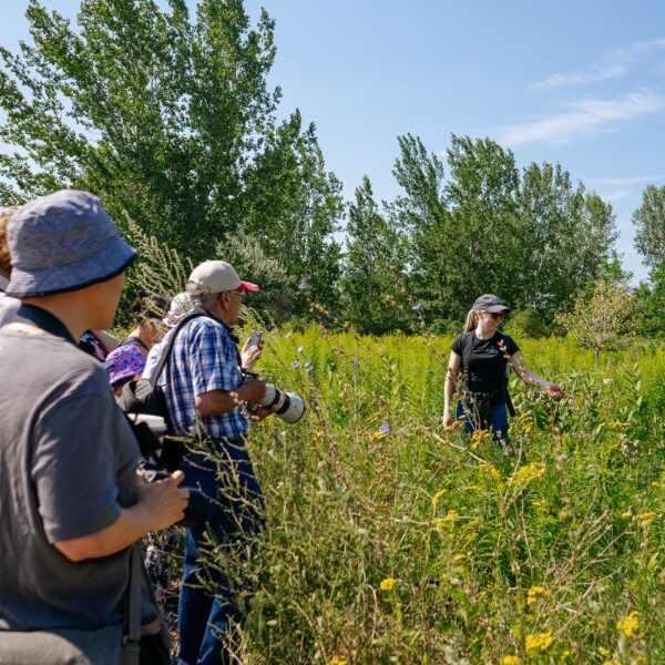 TRCA’s Butterfly Festival Inspires Community to Support Butterfly ...