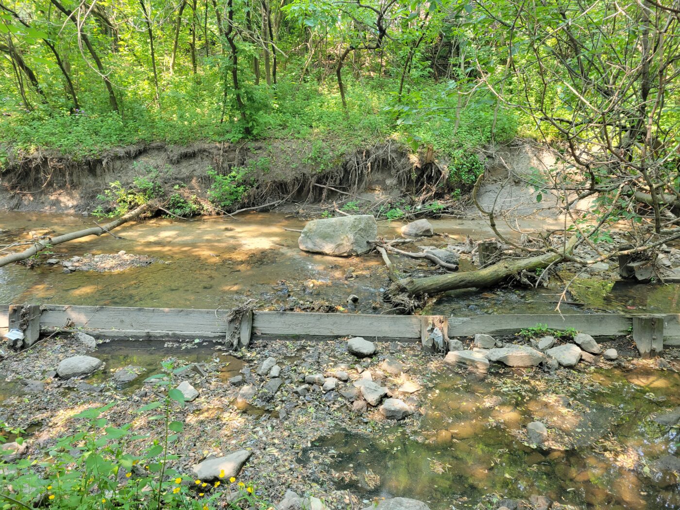 Beverley Acres German Mills Creek Erosion Control Project - Toronto and ...