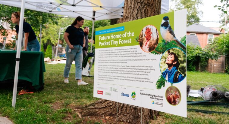 Introducing Toronto’s Newest Tiny Forest - Toronto and Region ...