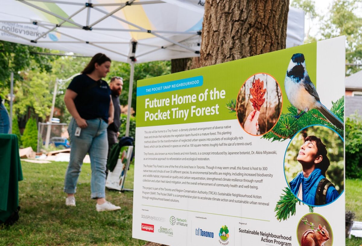 Toronto and Region Conservation Authority (TRCA)