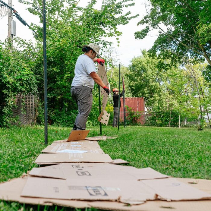 Introducing Toronto’s Newest Tiny Forest - Toronto and Region ...