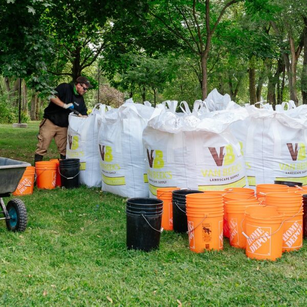 Introducing Toronto’s Newest Tiny Forest - Toronto and Region ...