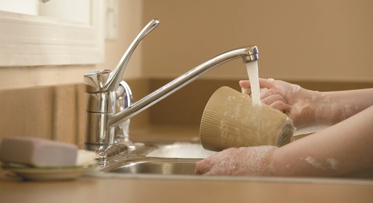 Thornhill SNAP - Toronto and Region Conservation Authority (TRCA)