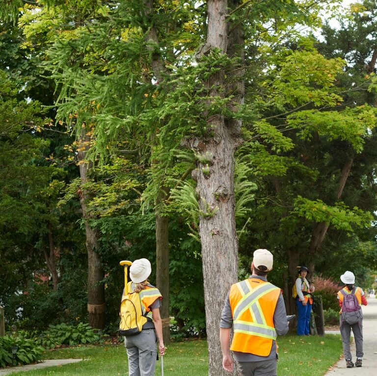 Urban Forests and Parks - Toronto and Region Conservation Authority (TRCA)