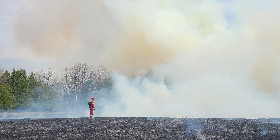 Albion Hills Prescribed Burn - Toronto and Region Conservation ...
