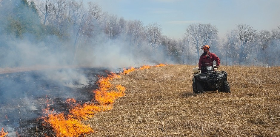 Albion Hills Prescribed Burn - Toronto and Region Conservation ...