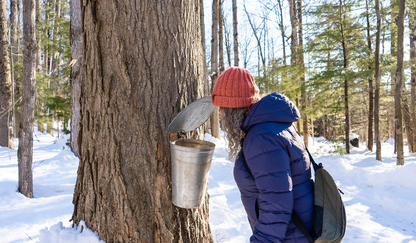 TRCA Brings You the Ultimate March Break Experience - Toronto and ...