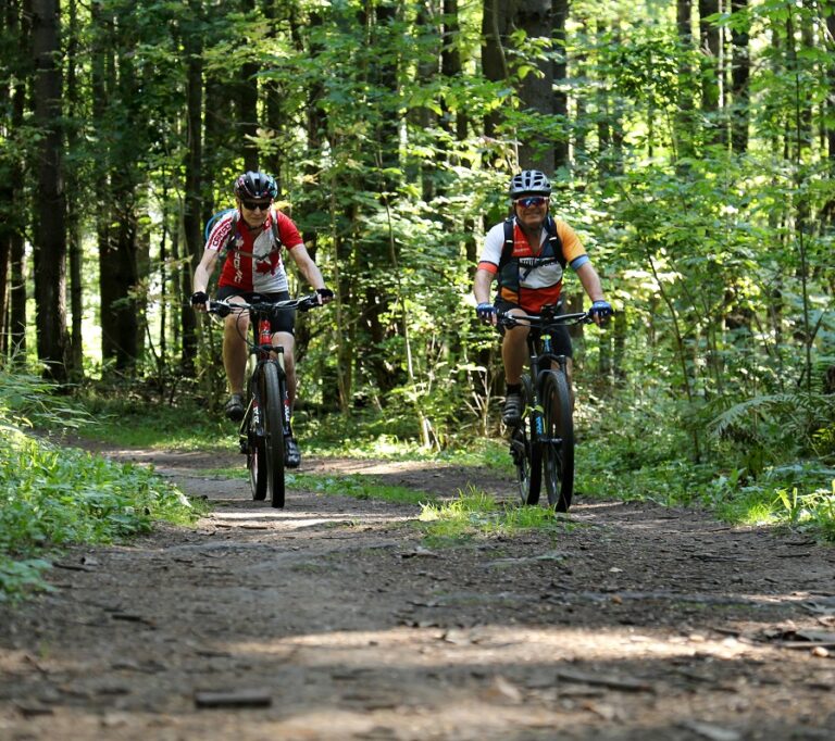 Connect to Nature with Your PaRx Prescription and TRCA - Toronto and ...