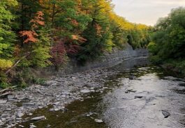 Watershed Management - Toronto and Region Conservation Authority (TRCA)