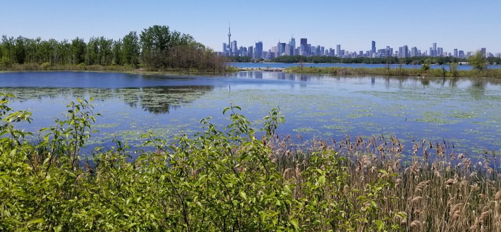 A History of Tommy Thompson Park - Toronto and Region Conservation ...