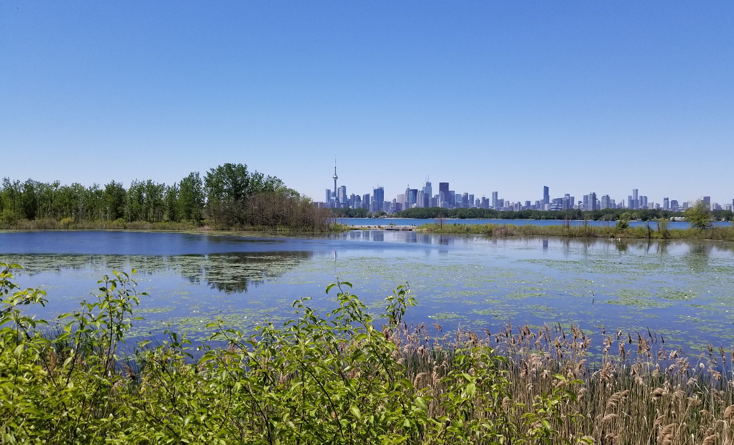 A History of Tommy Thompson Park - Toronto and Region Conservation ...