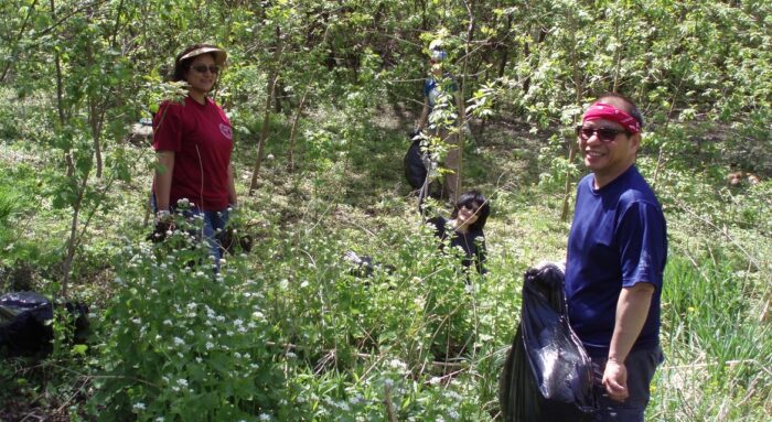 Invasive Species - Toronto and Region Conservation Authority (TRCA)