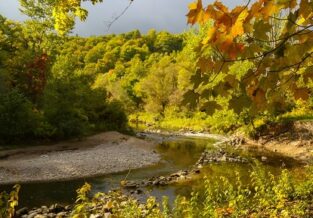 Watershed Management - Toronto and Region Conservation Authority (TRCA)