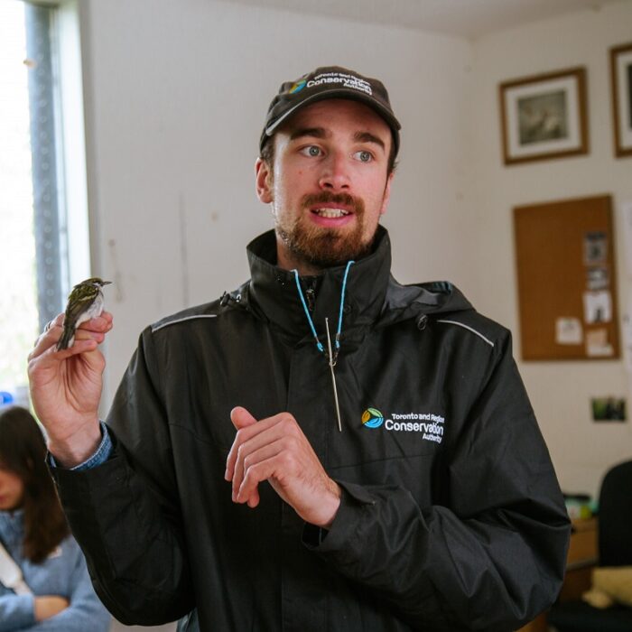TRCA Spring Bird Festival: Witnessing the Magic of Migration - Toronto ...