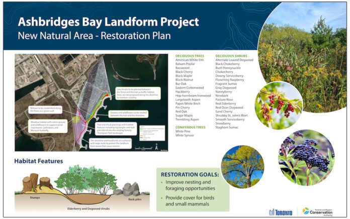 Ashbridges Bay Landform Project - Toronto and Region Conservation ...