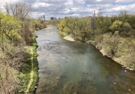 Watershed Management - Toronto and Region Conservation Authority (TRCA)