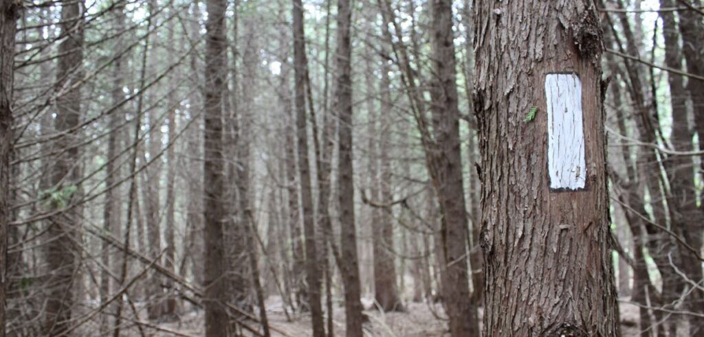 Unlock the Secrets of TRCA's Trails - Toronto and Region Conservation ...