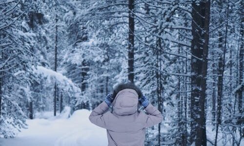 Winter Solstice | Toronto and Region Conservation Authority (TRCA)