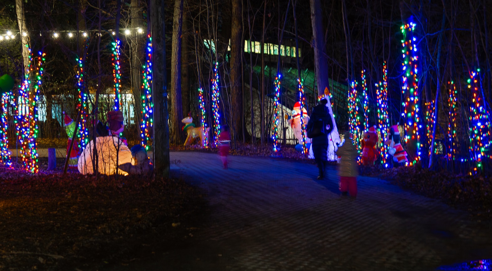 Get Into the Festive Spirit with TRCA - Toronto and Region Conservation ...