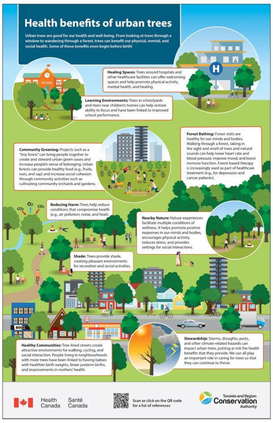Health Benefits of Urban Trees - Toronto and Region Conservation ...