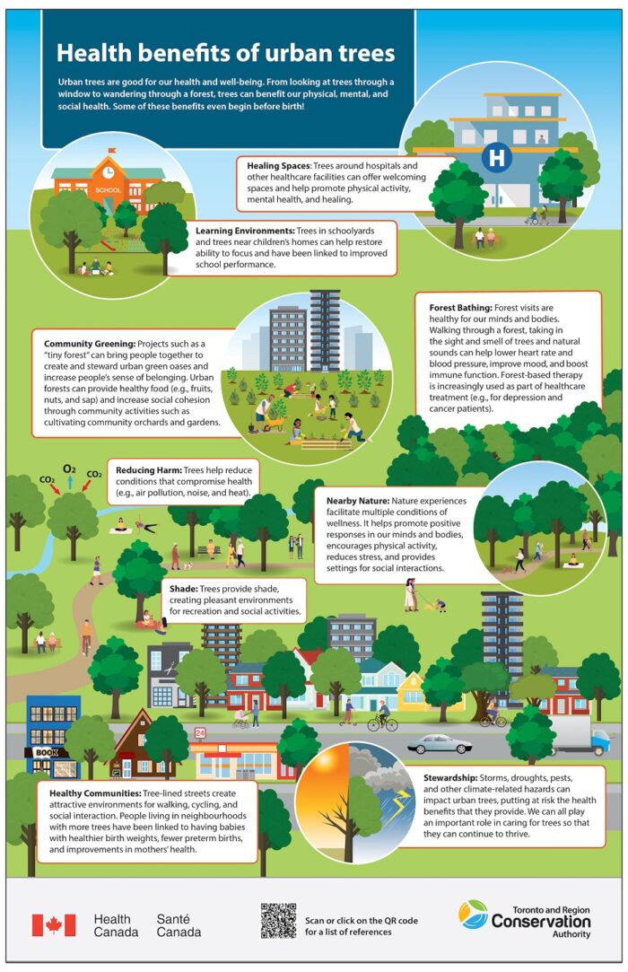 Health Benefits of Urban Trees - Toronto and Region Conservation ...
