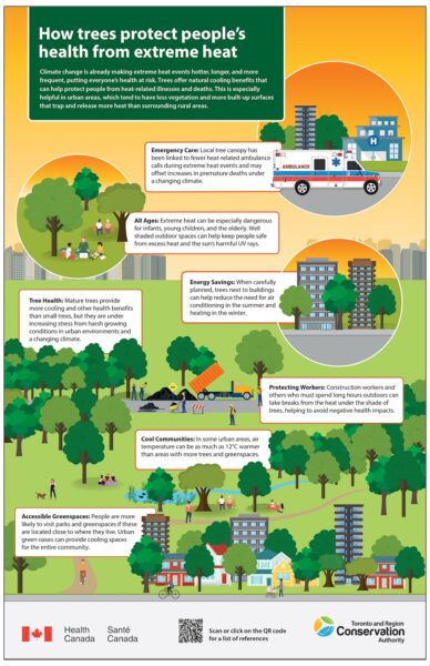 Health Benefits of Urban Trees - Toronto and Region Conservation ...