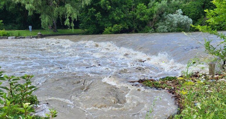 Humber River - Toronto and Region Conservation Authority (TRCA)