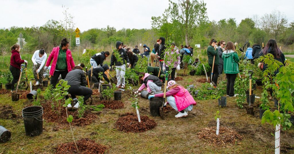 Health Benefits of Urban Trees - Toronto and Region Conservation ...