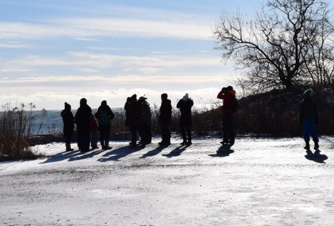 Toronto and Region Conservation Authority (TRCA)