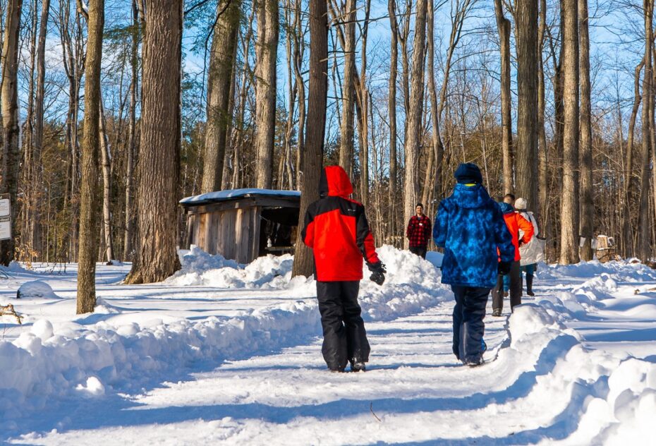 Toronto and Region Conservation Authority (TRCA)