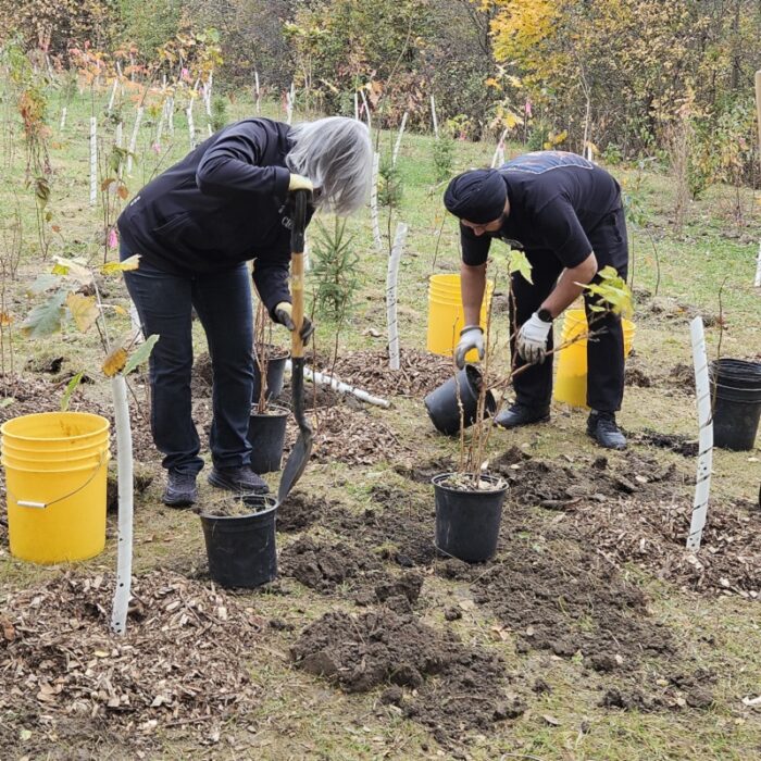Community Stewardship Program - Toronto and Region Conservation ...