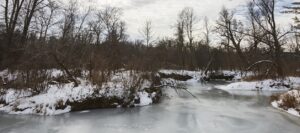 Dead in the Water: Uncovering the Spring Fisheries Mystery in Lake ...