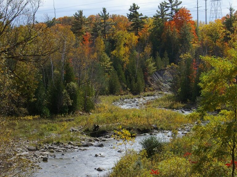 Rouge River Watershed - Toronto and Region Conservation Authority (TRCA)