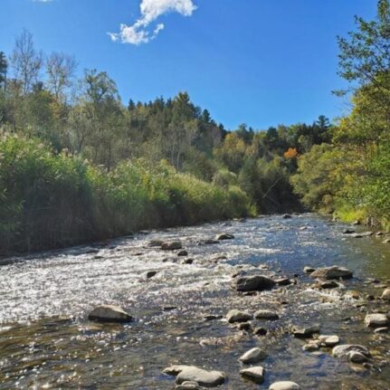 Rouge River Watershed - Toronto and Region Conservation Authority (TRCA)
